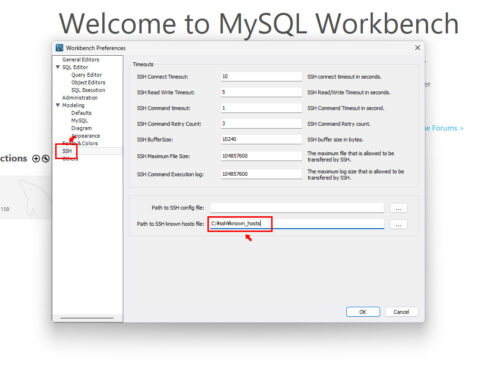 MySQL WorkbenchでSSHの不具合で接続できない場合の対処法｜ブログ｜シナゲート株式会社